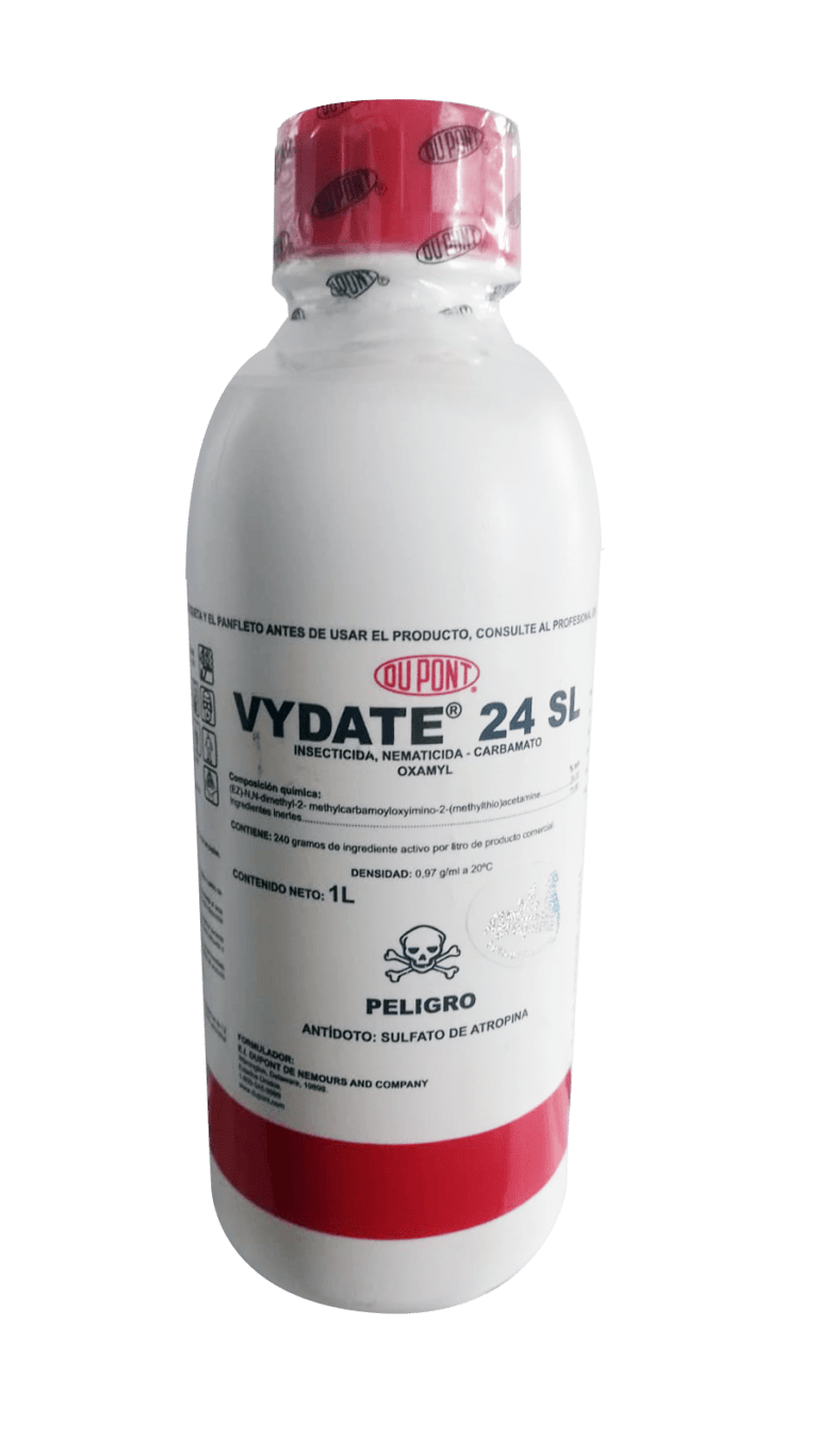 VYDATE 24 SL – Corporación Agrícola Gallina Ciega, S.A.